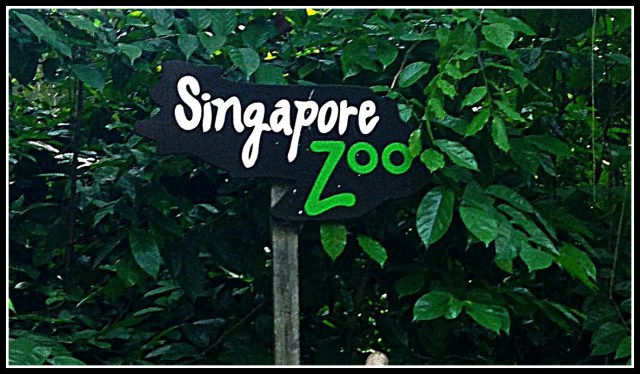 Singapore Zoo Logo