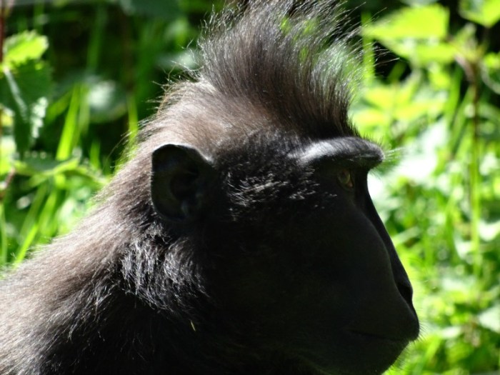 Lady of the Zoos | Educating the Public about the World of Zoos ...